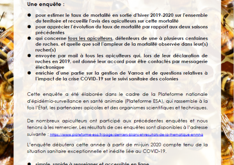 Enquête nationale de mortalité hivernale des colonies d'abeilles (ENMHA) | PLATEFORME ESA
